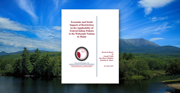 Economic and Social Impacts of Restrictions on the Applicability of ...