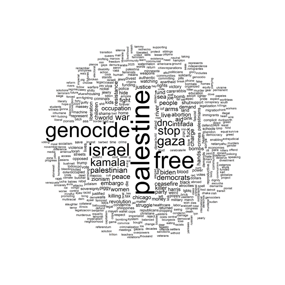 Overview of Protest Activity Around the 2024 Democratic National ...