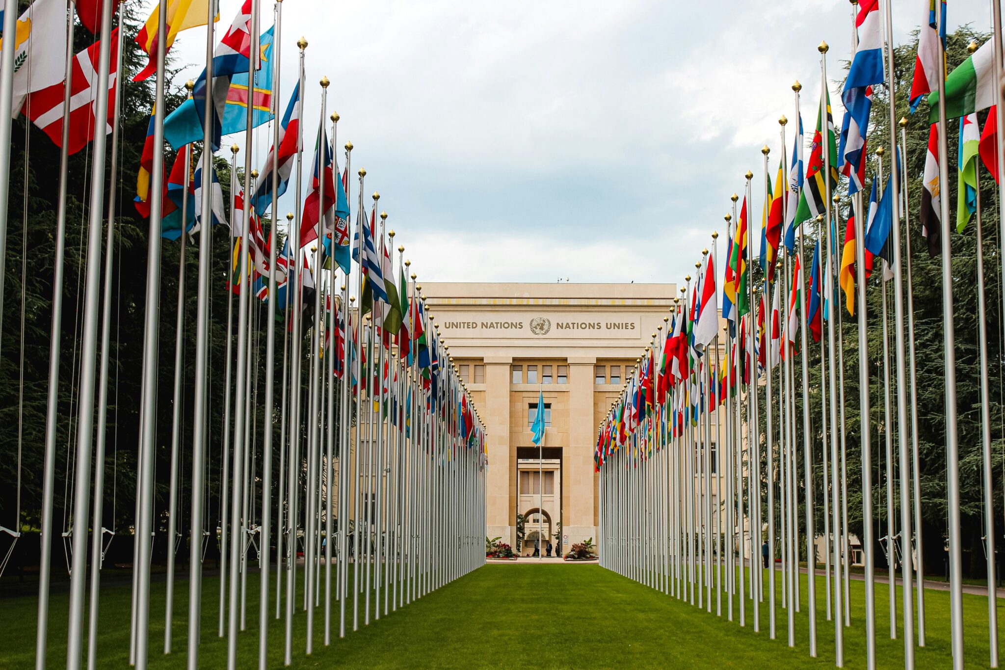 The Global Impact of the United States Election – Ash Center