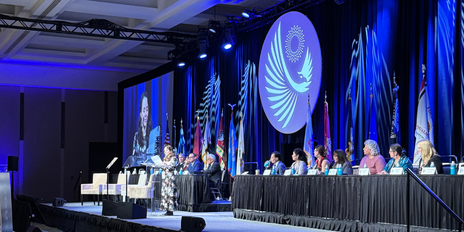 The Harvard Project Announces 2025 Honoring Nations Award Winners – Ash ...